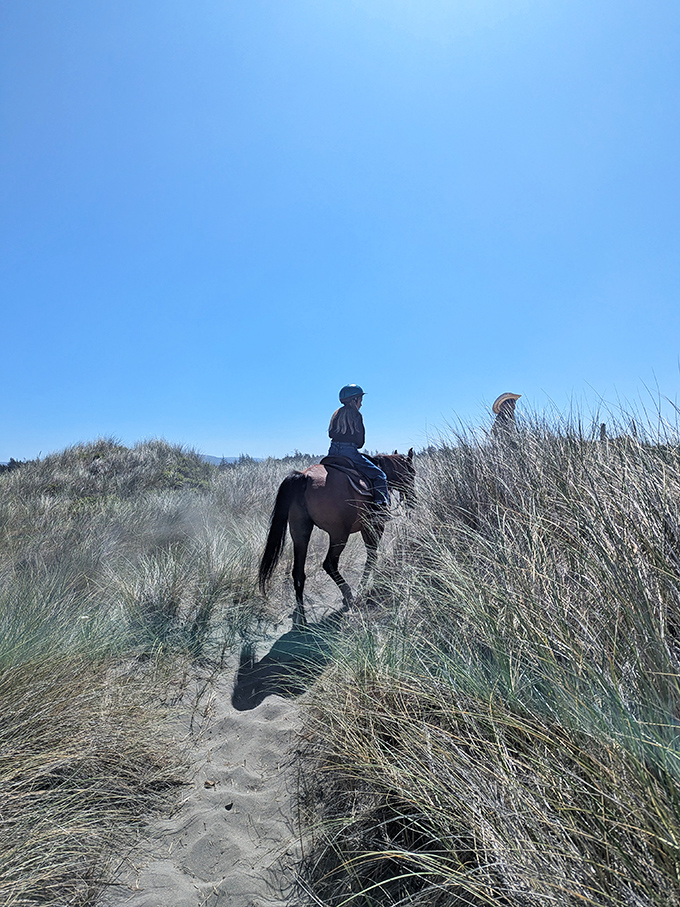 Horseback riding through dune grasses&mdash;when walking feels too pedestrian and dune buggies feel too... well, buggy.
