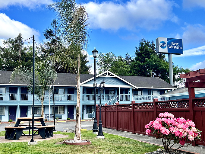 The Best Western in Fortuna isn't just a place to stay&mdash;it's your gateway to redwood country, complete with blooming rhododendrons.