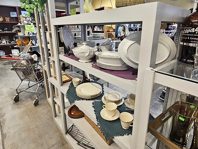 Everything you need to run a household, minus the household-budget-destroying price tags.