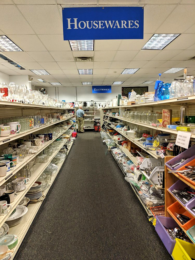 The housewares aisle stretches like a canyon of possibility—each glass and plate holding stories of dinners past and celebrations future.