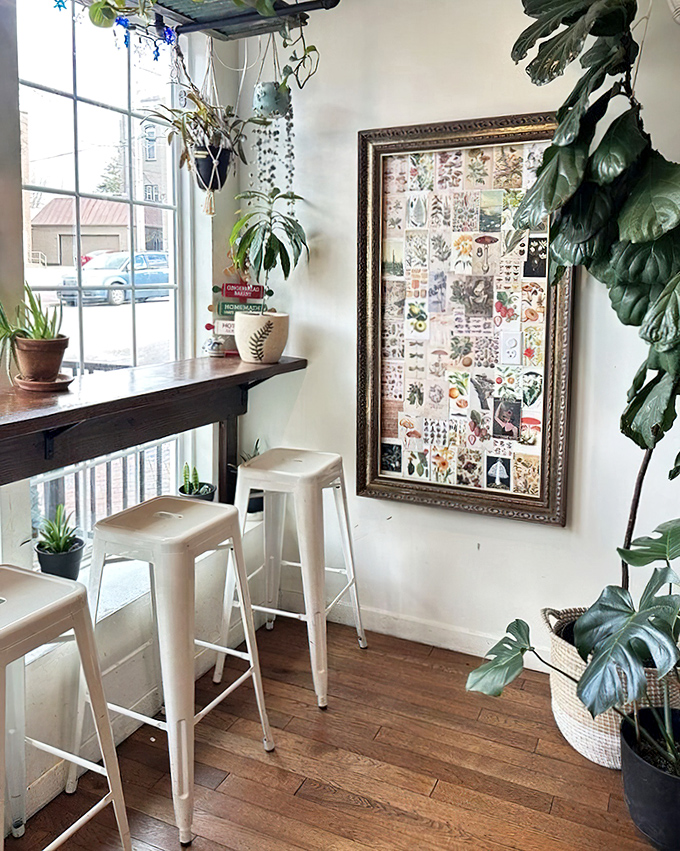 A window-side perch surrounded by lush plants where you can contemplate life's big questions or just watch the world go by between bites.