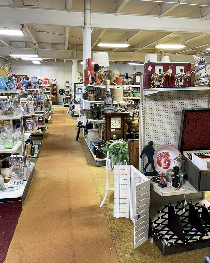 Endless aisles of possibility! Like a library where every "book" is actually a piece of someone's history waiting to join yours.