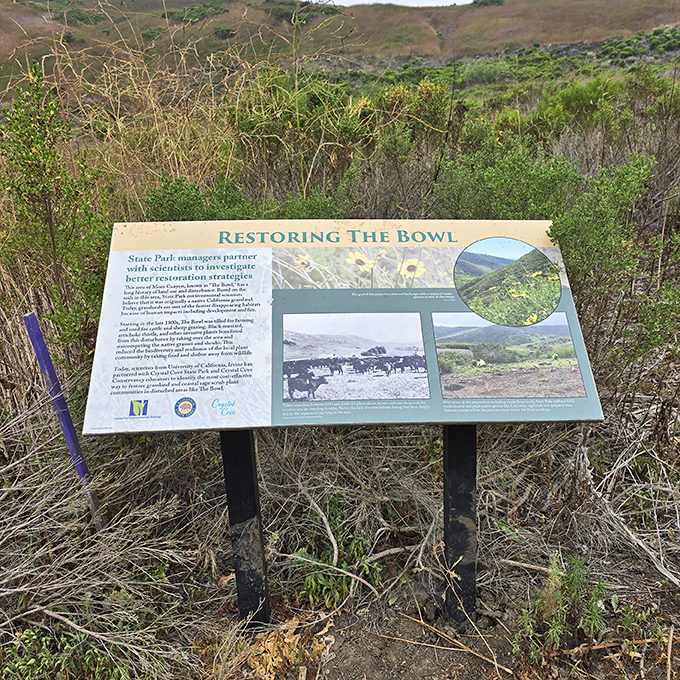 Education with a view &ndash; where even the most attention-challenged visitor might actually read about local conservation efforts.
