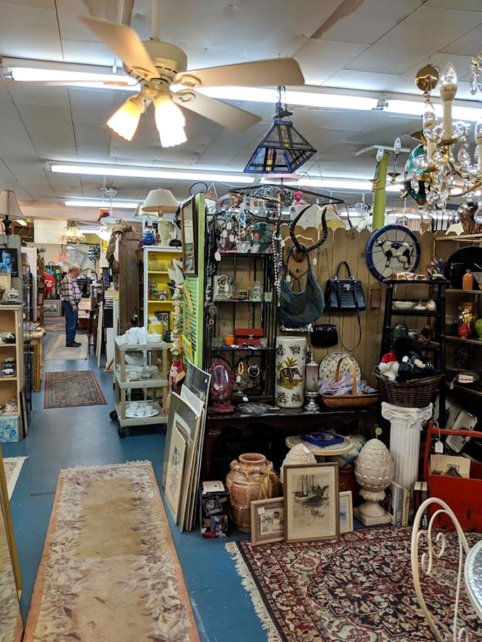 Chandeliers, ceiling fans, and endless curiosities create the perfect storm of vintage shopping. The blue floors guide you through this labyrinth of memories.