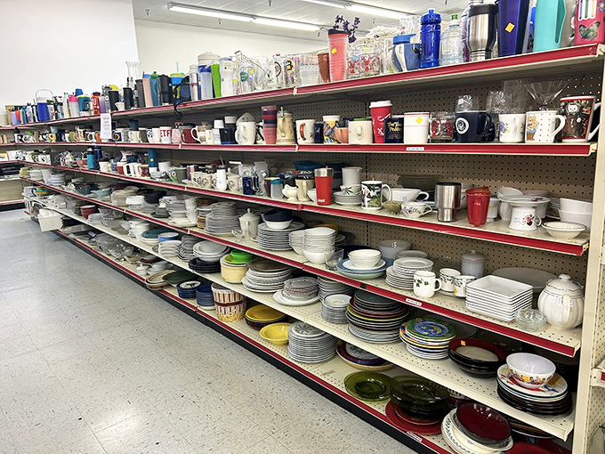 The kitchenware aisle: where mismatched plates become "eclectic collections" and coffee mugs find second homes with new morning routines.
