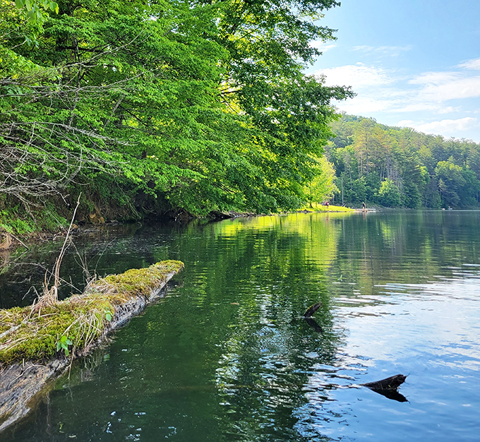 The lake's surface mirrors the surrounding forest with such perfection, it's like nature showing off its Photoshop skills.
