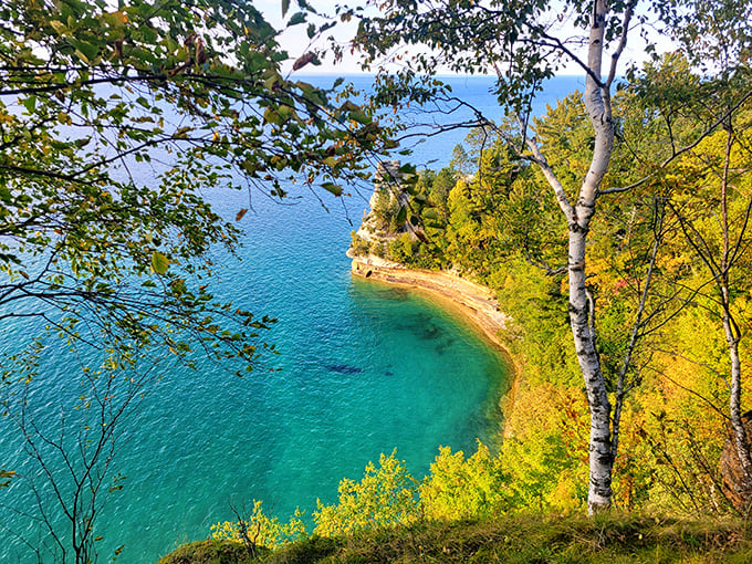 A hidden cove reveals water so clear and turquoise you'll check your GPS to confirm you're still in Michigan.