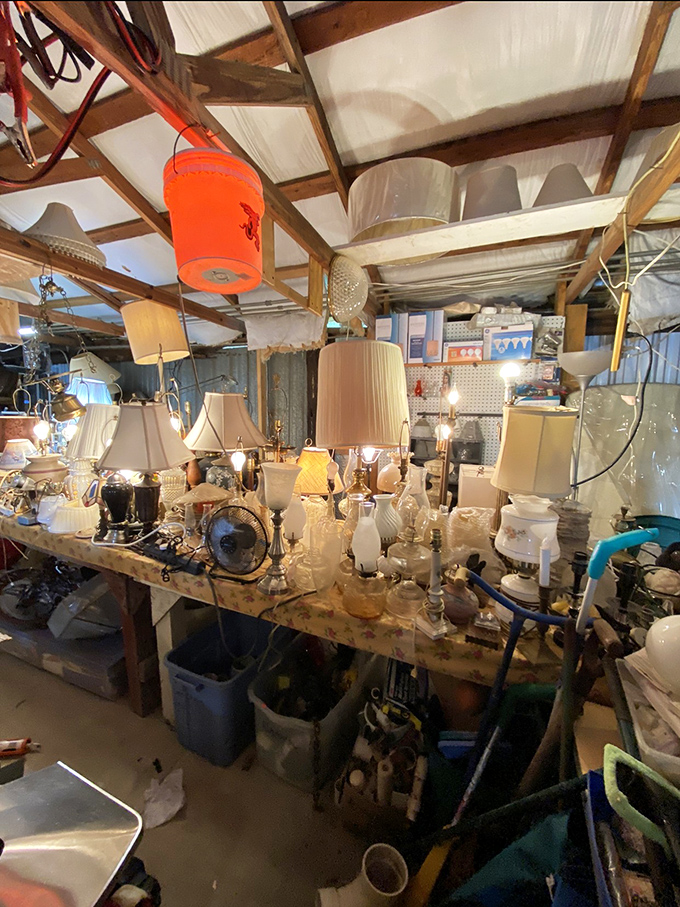 The lamp section: where lighting fixtures go to find their second act. That perfect reading lamp you've been searching for might be hiding right between the bizarre and beautiful.