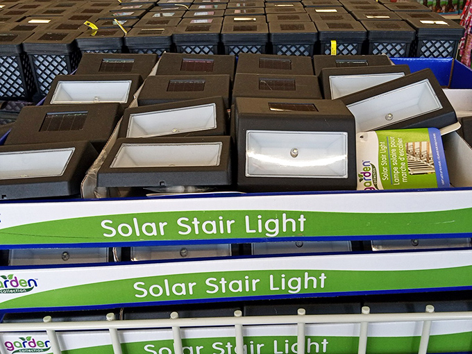 Solar-powered practicality meets desert living. These stair lights harness Arizona's abundant sunshine while adding safety and style to any entryway.