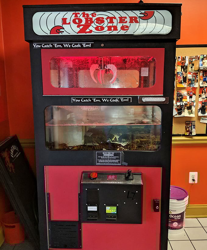 "You catch 'em, we cook 'em"&mdash;this lobster machine stands as a quirky testament to the restaurant's commitment to fresh seafood and maritime entertainment.