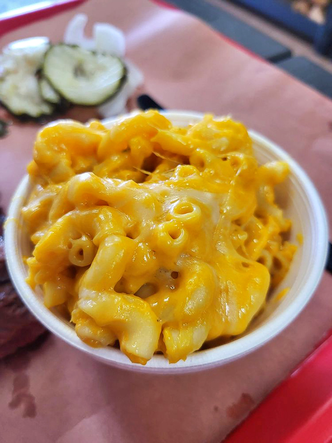 Mac and cheese that doesn't know it's a side dish. This golden masterpiece has main character energy and isn't afraid to show it.