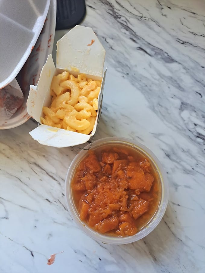 Comfort food diplomacy: mac and cheese in its natural habitat alongside sweet potatoes that taste like childhood memories.