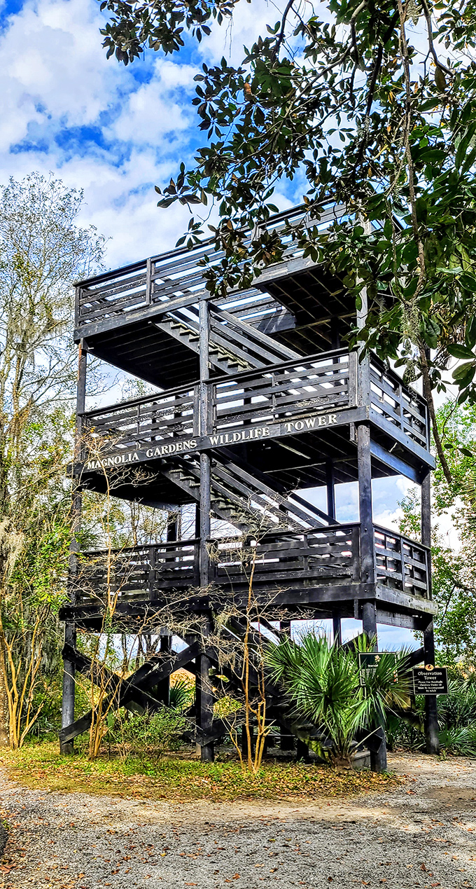 The Wildlife Observation Tower offers bird's-eye views of the swamp ecosystem, perfect for channeling your inner Audubon.