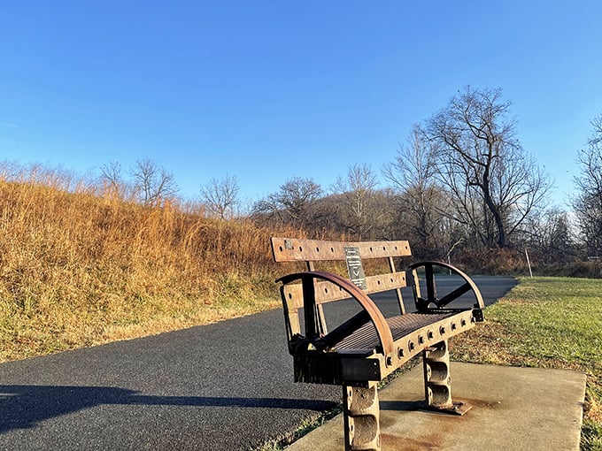 These benches know all the best views &ndash; trust them, they've been watching this spot for years.