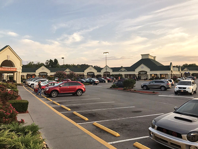 The sprawling parking lot at sunset hints at the shopping adventures within. Your car knows it will be heavier on the return journey.