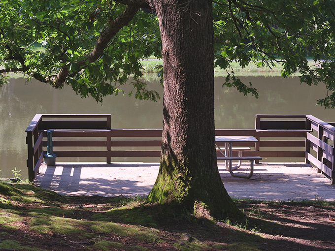 A riverside deck with the best seats in the house. No reservations required, though the tree clearly called dibs first. 