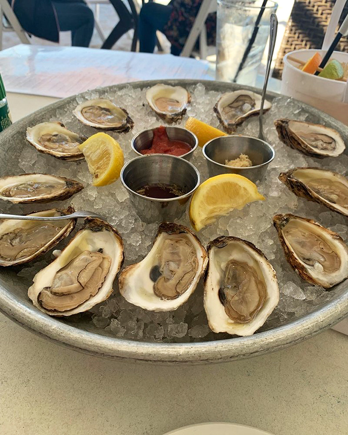 Fresh oysters arranged like a clock of deliciousness, with condiments standing by for your customizing pleasure.