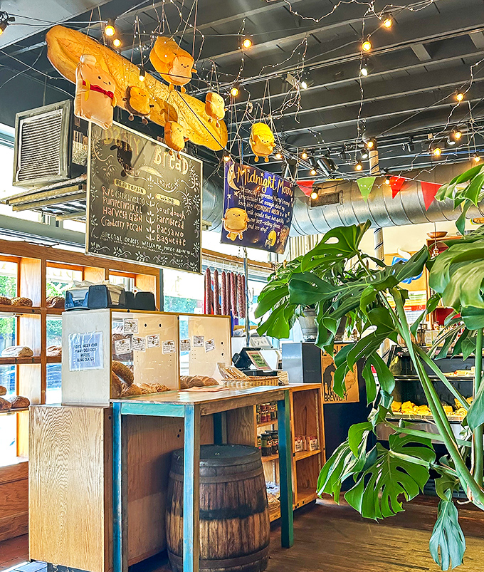 Whimsical decorations hang from the ceiling while a chalkboard menu promises treasures both traditional and unexpected.