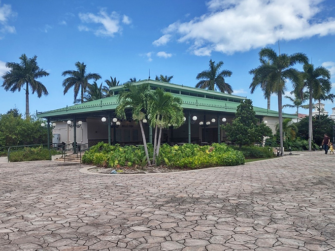 Community gatherings beneath these bronze giants prove that great art brings people together naturally.