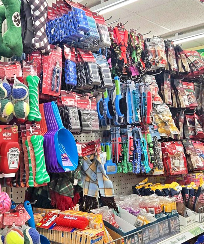 Pet supplies hanging like colorful pendants &ndash; proof that showing Fido love doesn't require emptying your wallet.