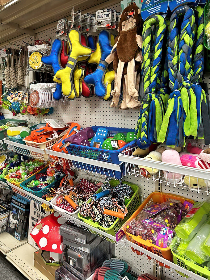 The pet section proves Fido doesn't need to fetch your whole paycheck. Premium toys and treats that'll have tails wagging and wallets sighing with relief.