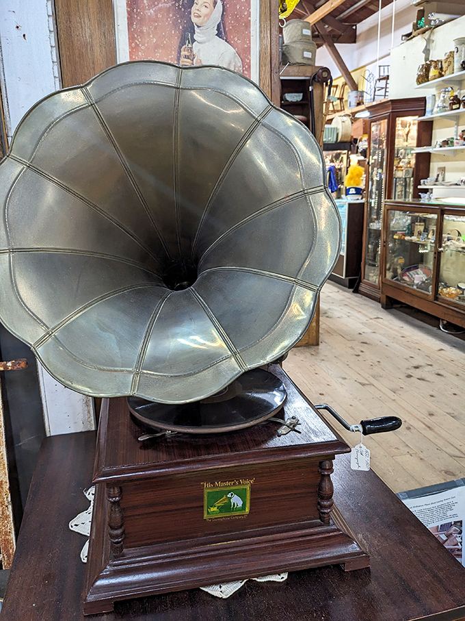 His Master's Voice indeed&mdash;this magnificent gramophone horn waits patiently to fill the room with crackling melodies from another century.