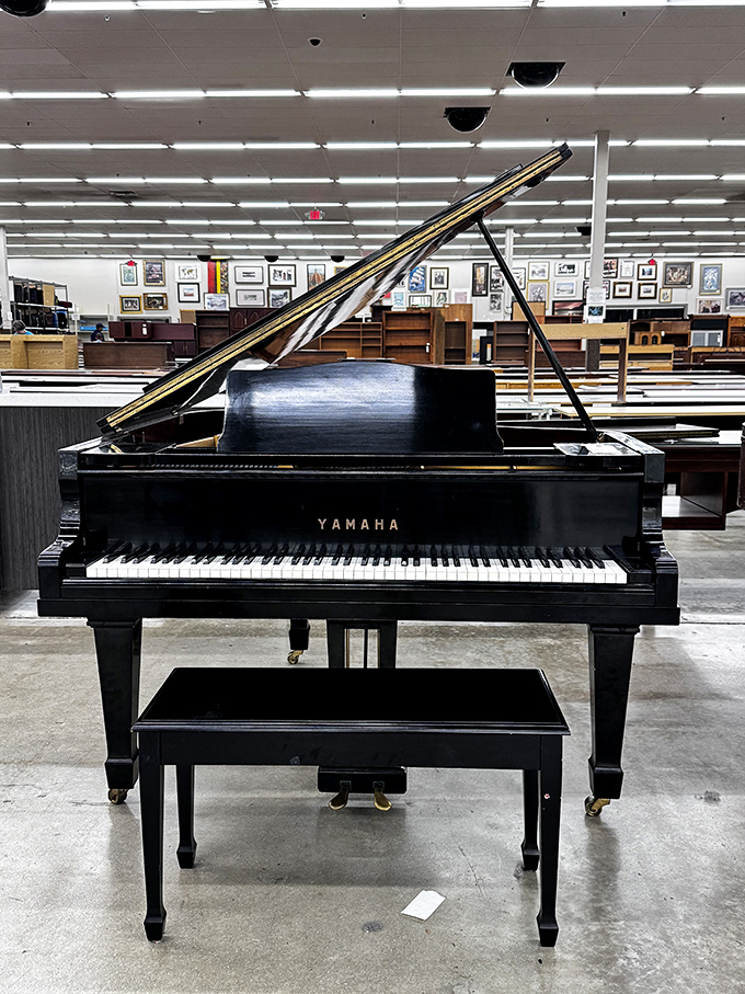 A majestic Yamaha grand piano stands in silent invitation. Just imagine the music this beauty could bring to your living room&mdash;if you can figure out how to get it home!