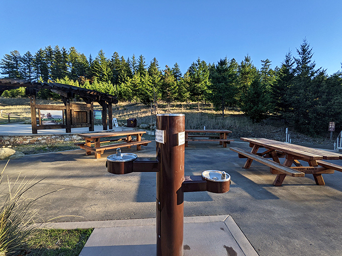 Picnic paradise with a side of serenity. These tables have hosted countless sandwiches with million-dollar views.