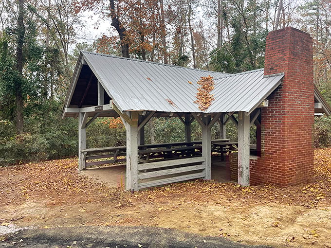 This shelter has witnessed decades of family gatherings, its brick fireplace holding the echoes of countless stories and laughter.