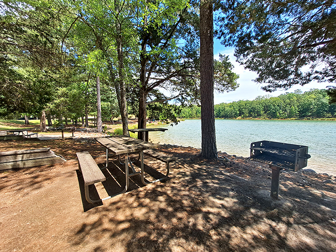Lakeside picnic tables transform simple meals into dining experiences that five-star restaurants cannot replicate or match.