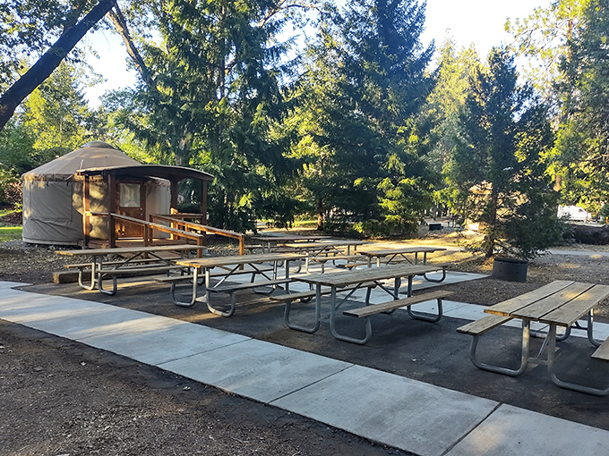 Picnic table paradise with a side of yurt. When regular camping feels too mainstream, upgrade to this circular slice of outdoor luxury.