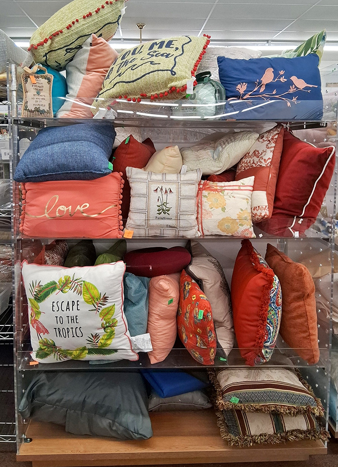 Pillow paradise! From tropical escapes to love declarations, these cushions offer both comfort and personality for your couch makeover.