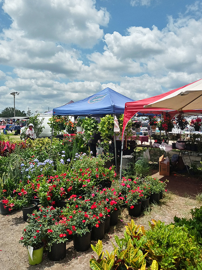 A garden center blooming with possibility. These potted flowers don't just sell plants&mdash;they sell the promise of a more colorful tomorrow.