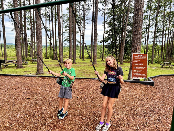 Two young adventurers demonstrate the timeless truth that no matter how advanced technology gets, swings never go out of style.