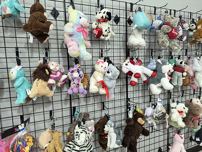 The stuffed animal wall of fame. Each plush friend patiently waiting for the right hugger to come along and give them a forever home.