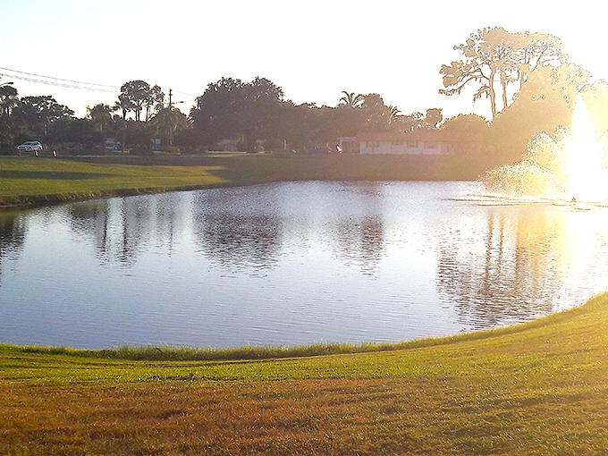 Water features aren't just pretty &ndash; they're nature's soundtrack to your morning coffee or evening cocktail on the patio.