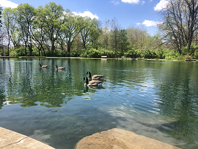 The pond offers a moment of reflection&mdash;literally and figuratively&mdash;as geese cruise by like feathered gondoliers.