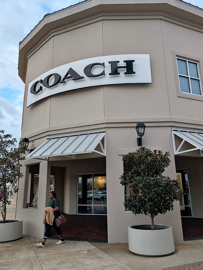The Coach storefront stands like a beacon of hope for handbag enthusiasts who thought luxury was beyond their reach.