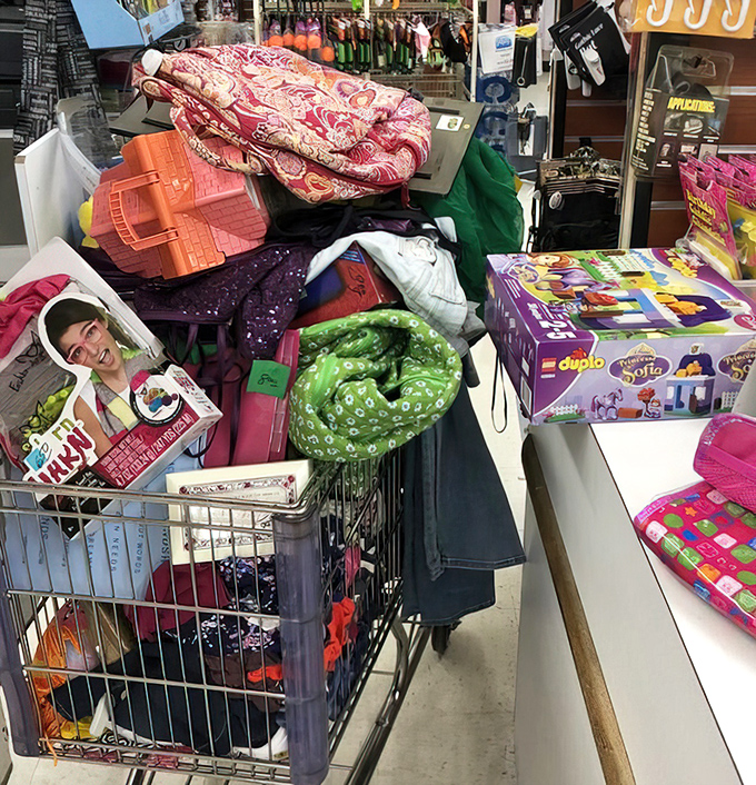 A shopping cart filled with childhood nostalgia, practical necessities, and that one inexplicable item you didn't know you needed until now.