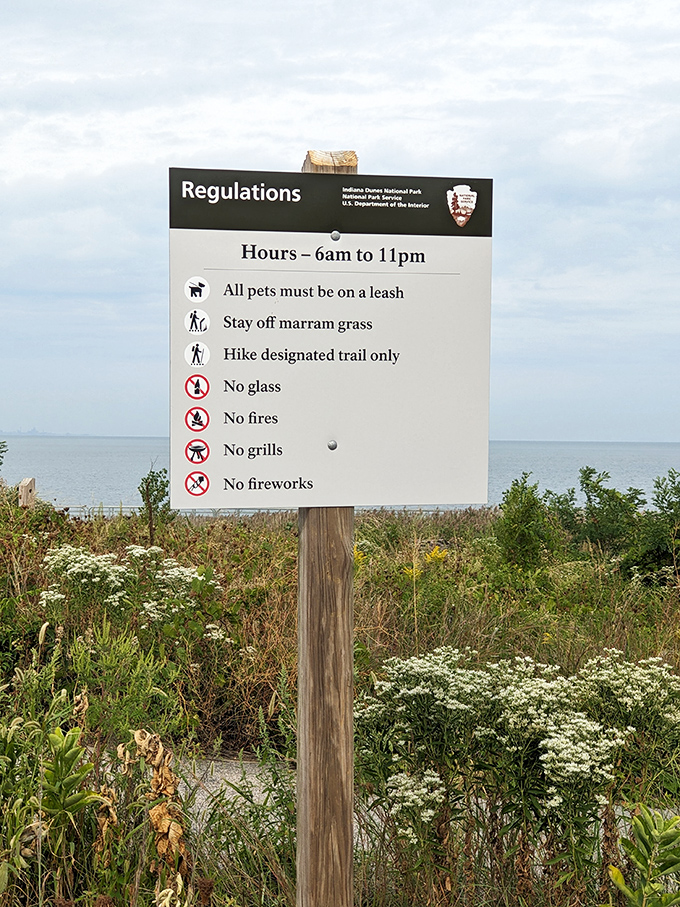 The regulations sign politely reminds you that paradise has rules, but they're mostly just asking you not to ruin it for everyone else.