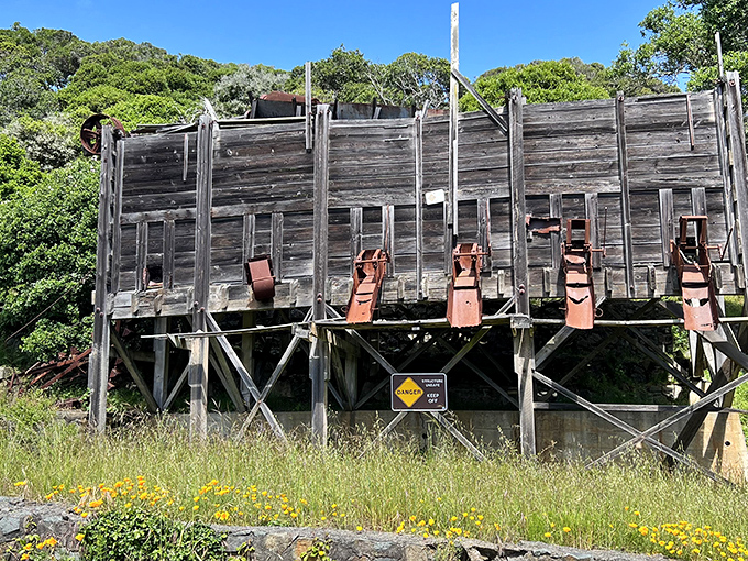 This weathered coastal battery once defended the bay &ndash; now it defends only memories, slowly surrendering to nature's persistent reclamation project.