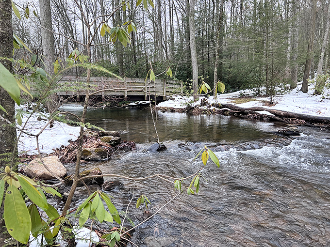 Winter's first dusting transforms the flowing stream into a study of contrasts &ndash; cold snow, moving water, and the promise of spring's return.