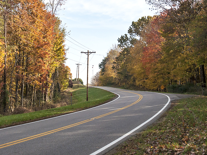 Autumn's golden hour transforms ordinary asphalt into a runway for seasonal splendor. Even the telephone poles can't help but admire the view.