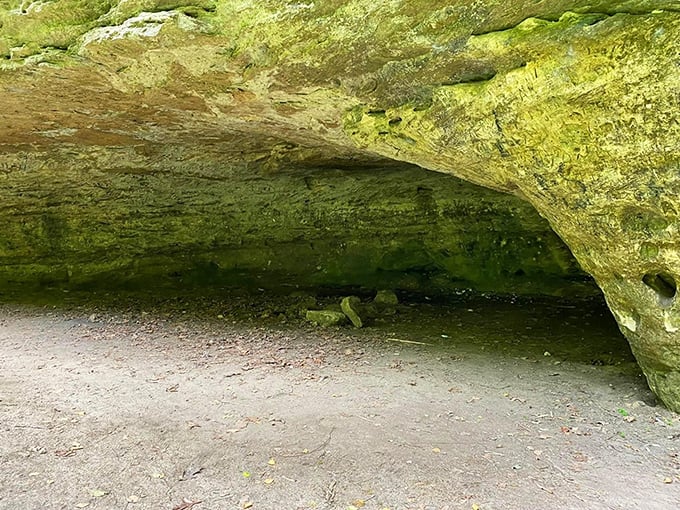 Step into the shelter that housed humans 12,000 years ago. If these rocks could talk, they'd tell stories spanning hundreds of generations.