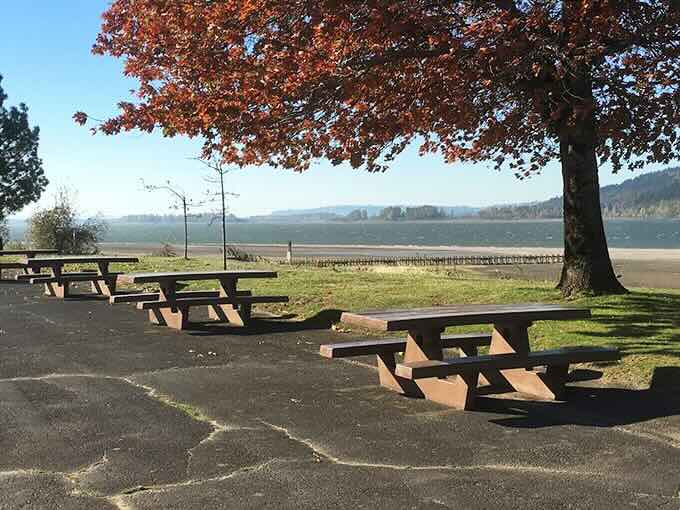Fall foliage creates the perfect backdrop for these picnic tables, where countless sandwiches have been enjoyed with million-dollar views.