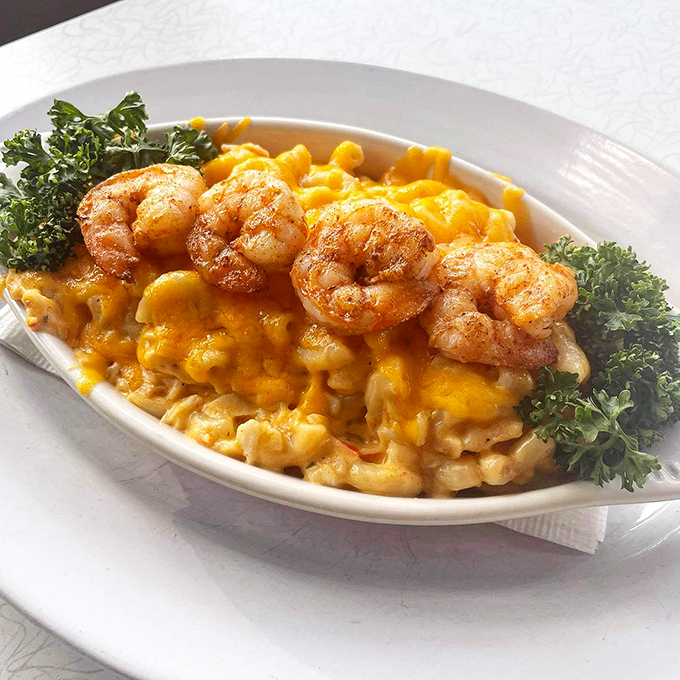 Mac and cheese that's all grown up and living its best life with perfectly seasoned shrimp. Comfort food with a promotion.