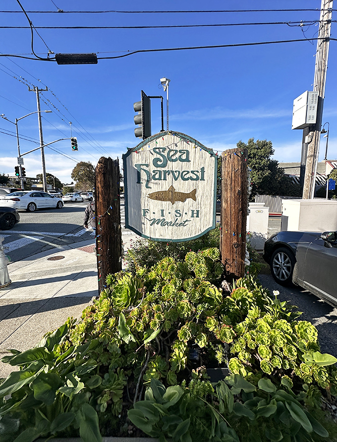 The roadside sign stands like a maritime lighthouse, guiding hungry travelers to safe harbor. No neon required when your reputation shines this brightly among locals.