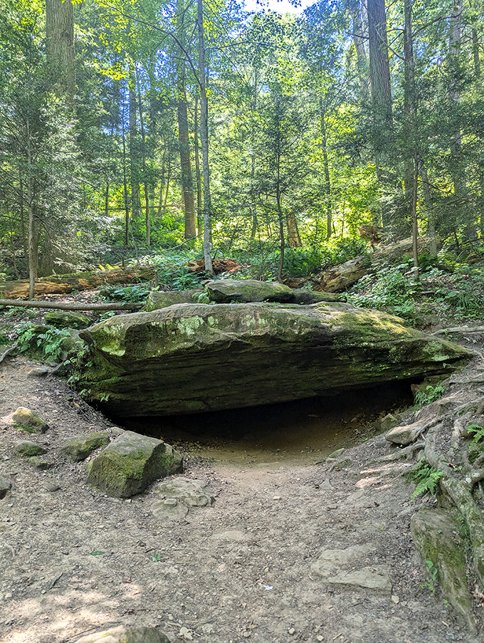 This moss-fringed cave opening looks like the entrance to a hobbit home, minus the round door and Ian McKellen smoking a pipe nearby.
