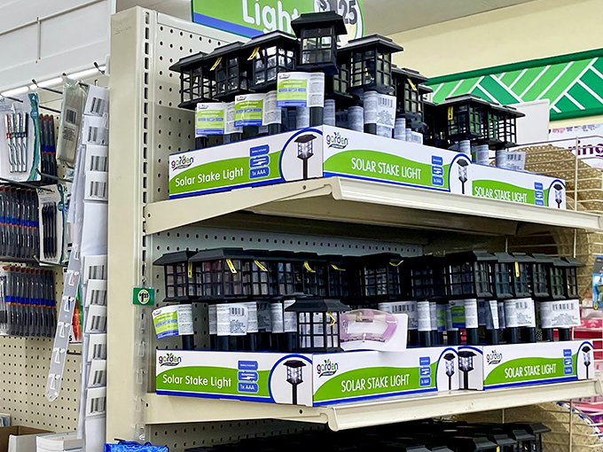 Garden glamour on a shoestring budget. These solar lights transform ordinary pathways into enchanted evening walkways.