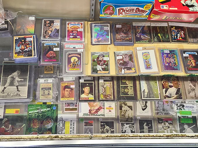 Baseball cards and memorabilia frozen in protective cases&mdash;where childhood heroes and forgotten stars share equal billing in the pantheon of collectibles.